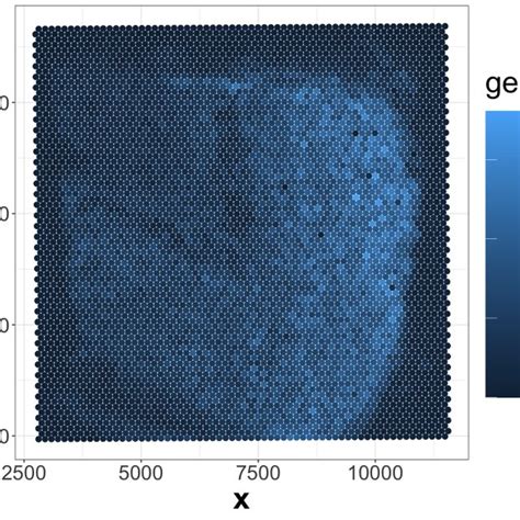 The Most Dense Gene Has A Structured Expression Pattern Download