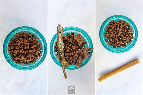 How Much Should A Dachshund Eat