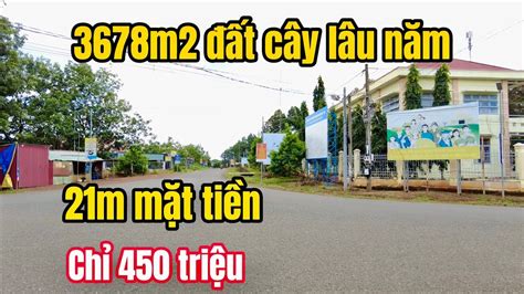 Gần 4 Sào đất Giá đã Giảm 450tr Đường đi Lại Thuận Tiện Hành Lang