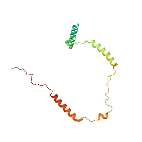 Rcsb Pdb 7uxh Cryo Em Structure Of The Mtorc1 Tfeb Rag Ragulator Complex