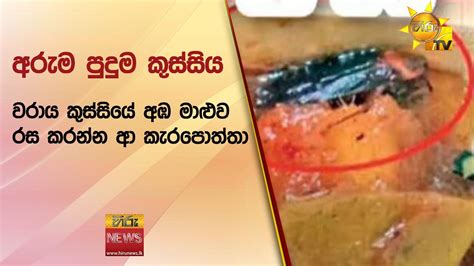 අරුම පුදුම කුස්සිය වරාය කුස්සියේ අඹ මාළුව රස කරන්න ආ කැරපොත්තා Hiru