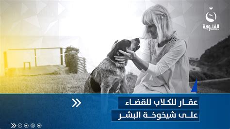 دواء قد يقضي على الشيخوخة تماما هل هذا ممكن؟ Youtube