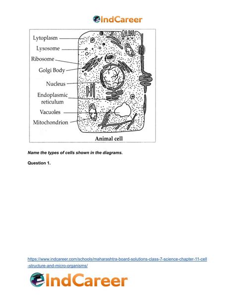 Maharashtra Board Solutions Class 7 Science Chapter 11 Cell Structure