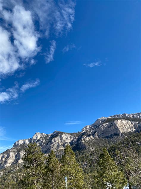 One Thing That Makes Law School Different From Undergrad Is The Grading One Thing That Makes Law School Different From Undergrad Is The Grading