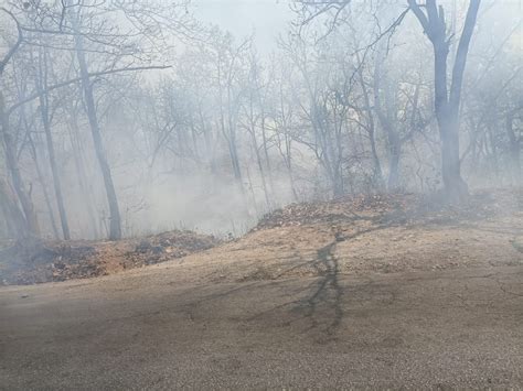Fire Broke Out In The Forests Of Rantola In Pipri Forest Range पिपरी वन रेंज के रनटोला के