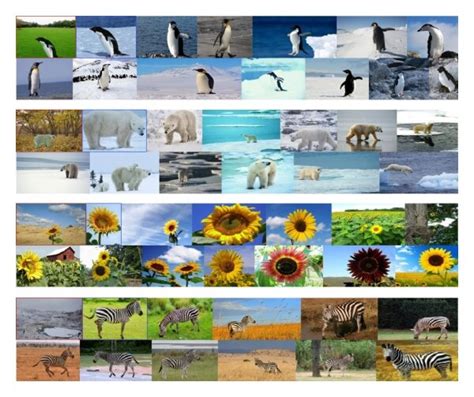 Results Of Scene Consistency Verification Download Scientific Diagram