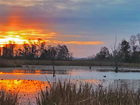 Home Steven B Epstein