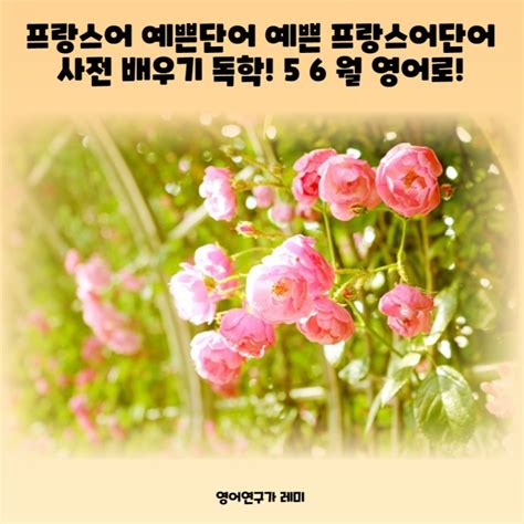 프랑스어 예쁜단어 예쁜 프랑스어단어 사전 배우기 독학 5 6 월 영어로 네이버 블로그
