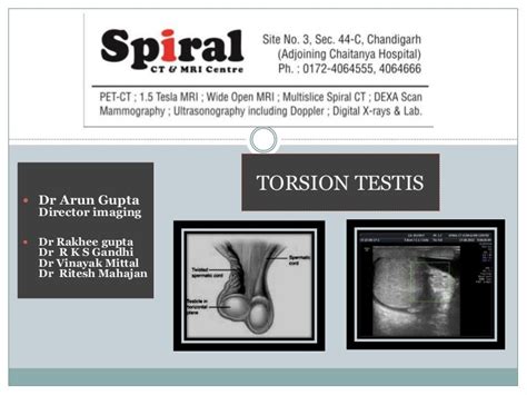 Torsion Testis Final