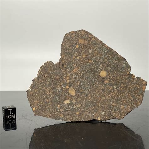 Ll3 1 Chondrite Meteorite N W A 13567 24 G Catawiki