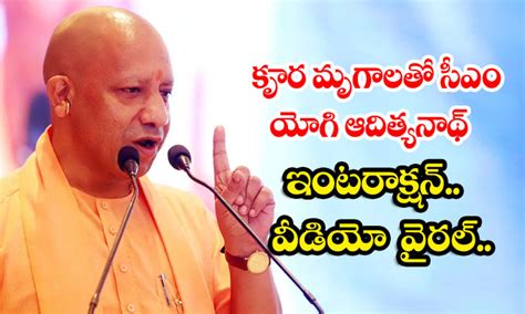 కౄర మృగాలతో సీఎం యోగి ఆదిత్యనాథ్ ఇంటరాక్షన్ వీడియో వైరల్