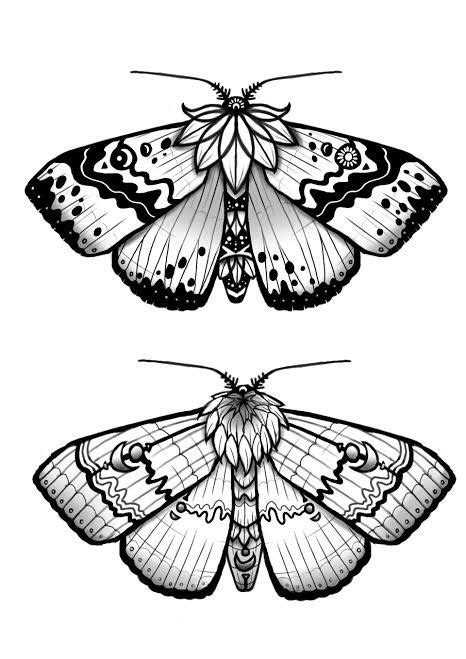 Pin By Dani Karrow On Tattoos Moth Tattoo Design Medusa Tattoo