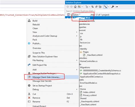 LibMan czyli biblioteki frontendowe w projekcie ASP NET Core Marek Zając