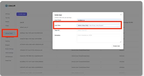 Internal User Self Serve LiteLLM