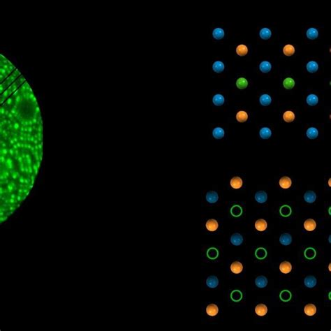 A Fim Micrograph Showing Two Domains Separated By A Coherent Boundary