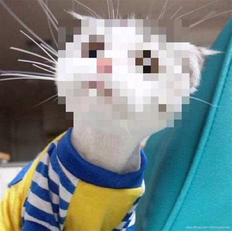 Java实现给图片局部打马赛克vue实现图片马赛克功能 Csdn博客 Java实现给图片局部打马赛克vue实现图片马赛克功能 Csdn博客