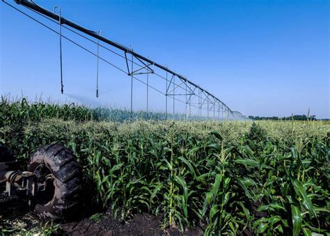 Irrigation System On The Corn Field Stock Image Image Of Industry