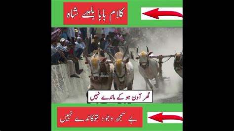 Baba Bulleh Shah Punjabi Kalam Punjabi Sufi Kalam Shorts Youtube