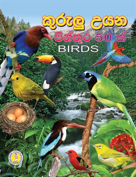 Sigithi Rupa Pata Karana Potha සිඟිති රූප පාට කරන පොත