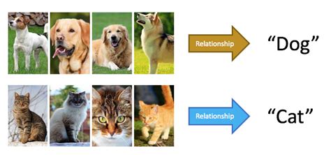 Machine Learning In This Article We Will Explore What By Branav