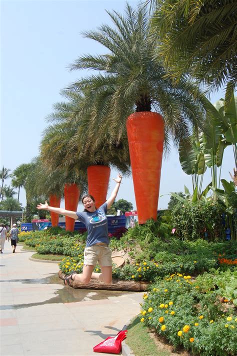 Steven In France Pip Pip Cheerio London