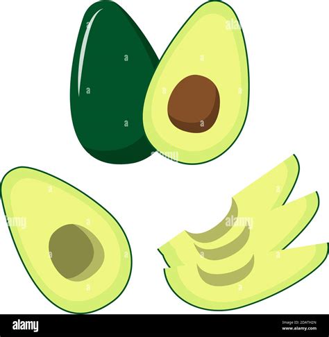 Avocado Whole And Cut Slices Flat Vector Illustration Isolated On