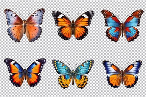 Premium PSD Collection Of Multicolored Butterflies Isolated On