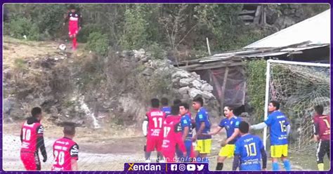 ڤیدیۆ شاخێک دەكرێتە یـاریـگـای تۆپی پـێ