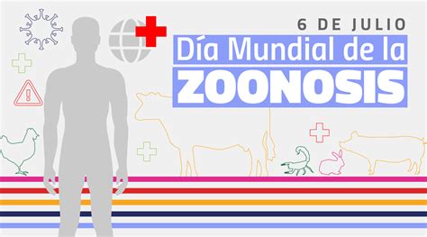6 De Julio Día Mundial De Las Zoonosis Importancia De La Prevención