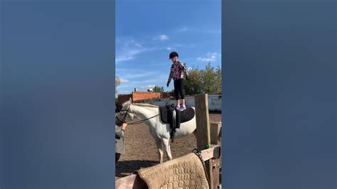 Я стою на лошади🐴 #шайр #лошади #класные #люблю #шляйх #конкур #лайк # ...