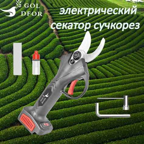 Аккумуляторный электрический секатор-сучкорез - купить по выгодной цене ...