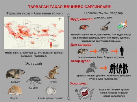 Монгол Зоонозын Өвчин Судлалын Үндэсний Төв ЗӨСҮТ
