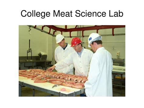 PPT Meat Science PowerPoint Presentation Free Download ID