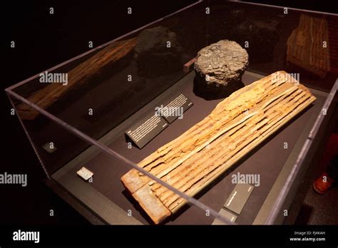 A Visitor Looks At Authentic Objects From The Titanic At The Exhibition