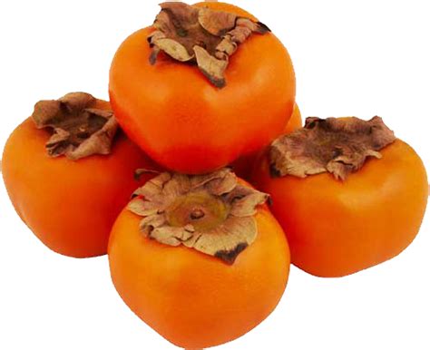 Caqui Png