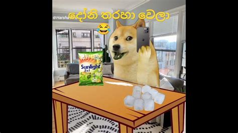 දෝනි තරහා වෙලා😂😂subscribe Short Shorts Comedy Youtube