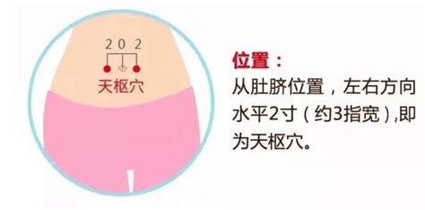 天枢的位置小儿天枢的准确位置图天枢星位置大山谷图库 天枢的位置小儿天枢的准确位置图天枢星位置大山谷图库