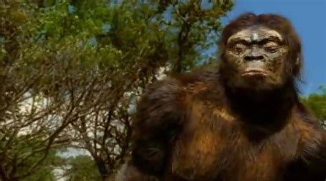 Australopithecus Anamensis Documentary Lodysee De Lespece