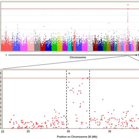 Identification Of Locus Responsible For FIS By Genome Wide Association