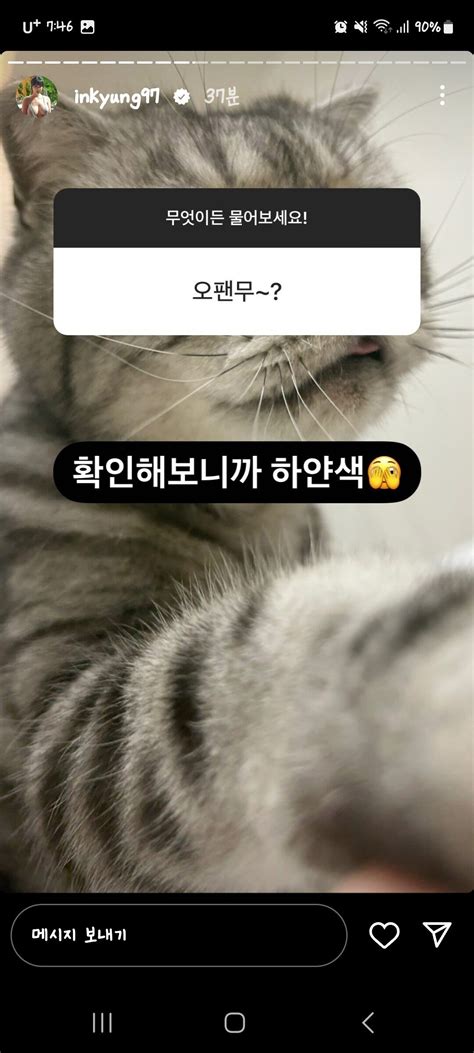 방금 올라온 강인경 무물 치지직 에펨코리아