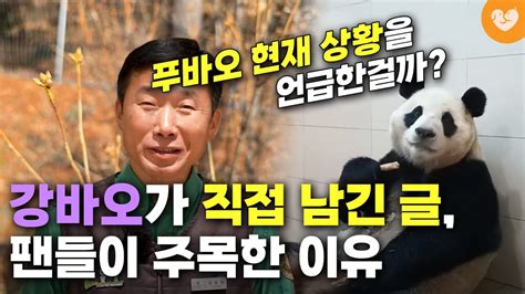 푸바오 현재 상황을 말하는 걸까” 최근 강바오 강철원 주키퍼가 남긴 글 팬들이 주목한 이유 Youtube