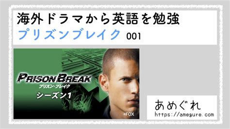 【英語】contain Include Involve 含む・含める の意味の違いと使い分け