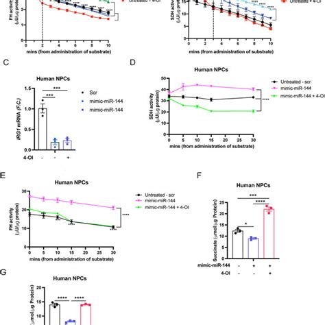 Tca Cycle Enzymes Sdh And Fh Are Hyperactivated In Obesity A F