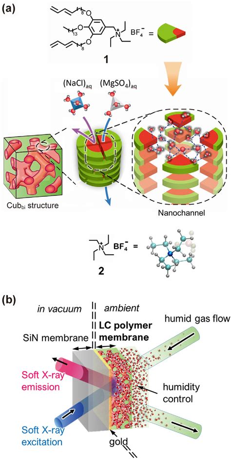A Molecular Structure And Illustration Of An Lc Monomer Benzyl