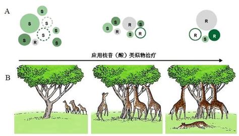 治療乙肝的核苷類藥物為什麼會出現耐藥 每日頭條