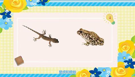 五毒是哪五毒 五毒指的是哪五毒 天奇生活