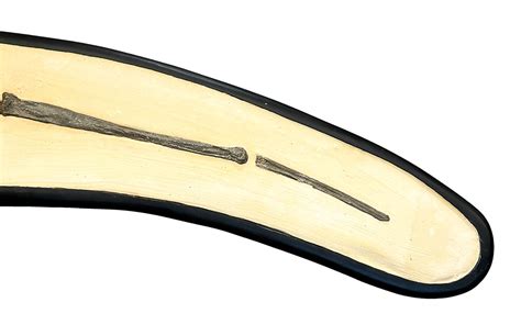 Pterosaur Wing Pteranodon Sp The Natural Canvas