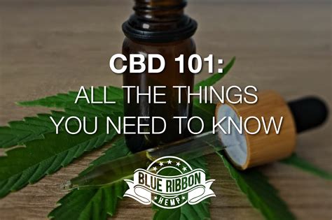 Cbd 101 All The Things You Need To Know Orlando Magazine