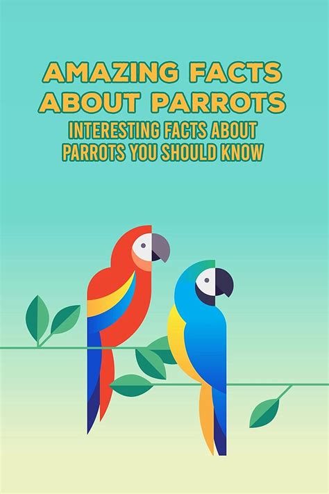 Amazing Facts About Parrots Interesting Facts About