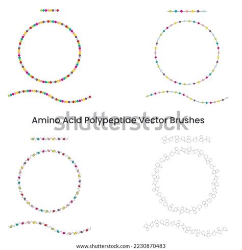 Amino Acid Polypeptide Vector Brush Set Stock Vector Royalty Free